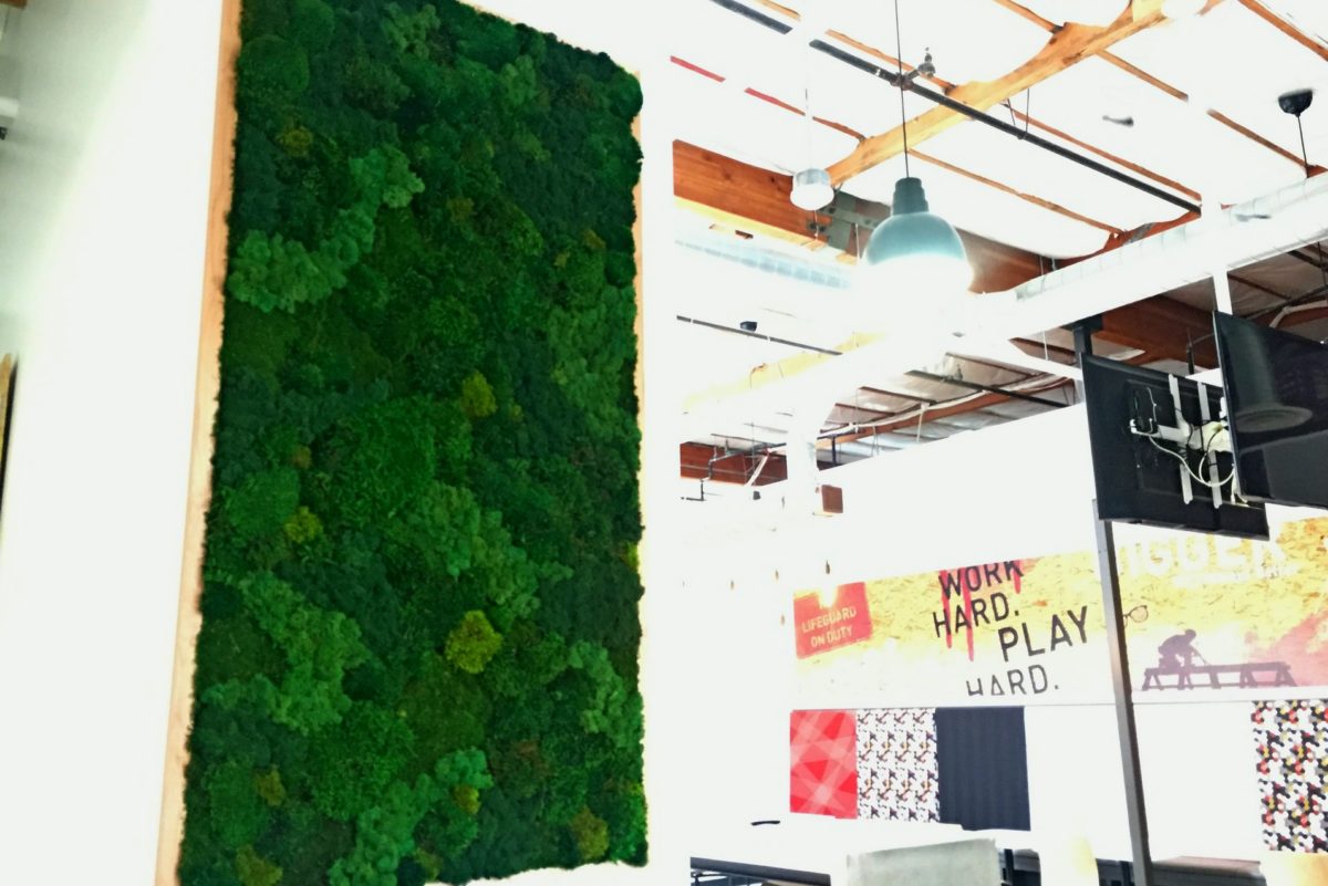 Moss Walls - Greenleaf Interior Plant Solutions