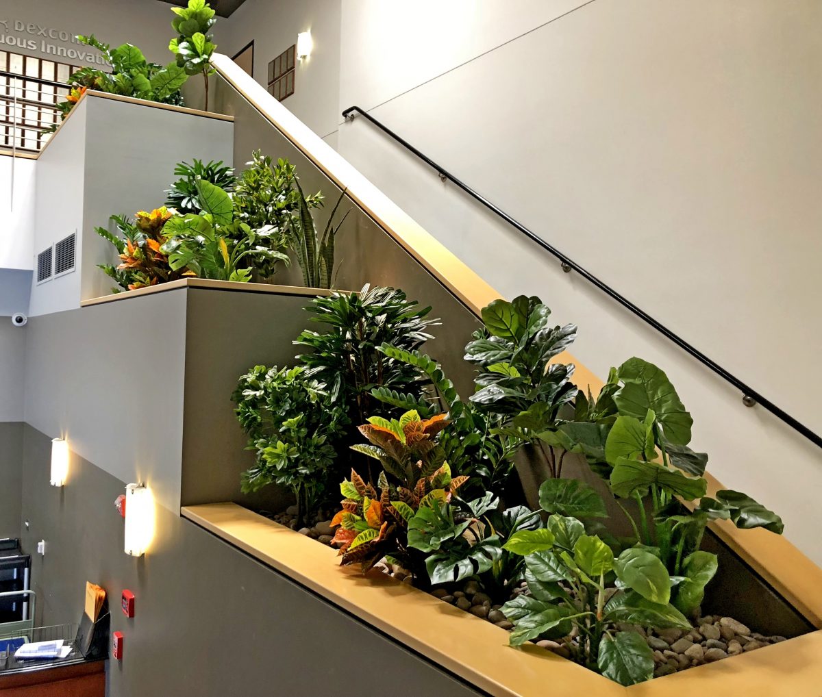 Silk Plants in an Office Space in San Diego-Commercial Plants Services