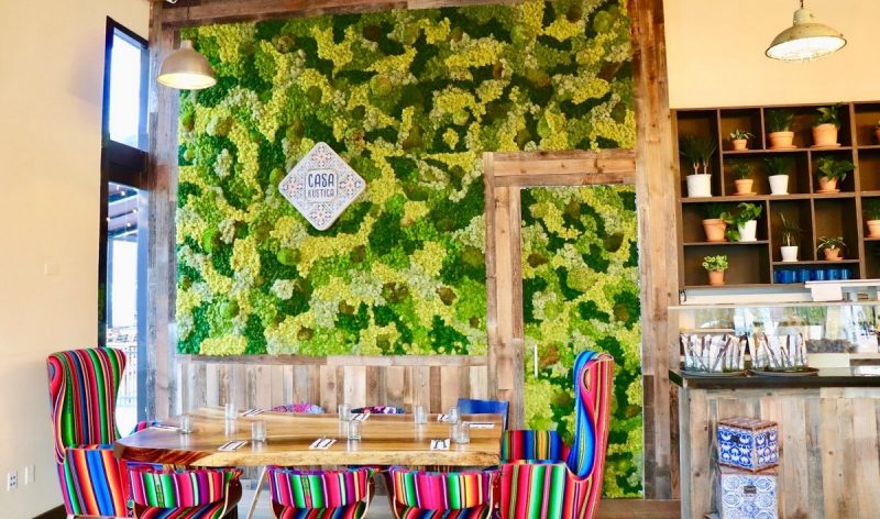 Moss Walls - Greenleaf Interior Plant Solutions