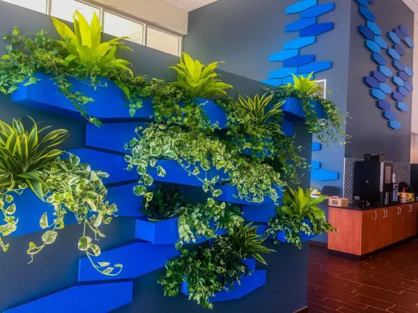 Live Walls - Greenleaf Interior Plant Solutions