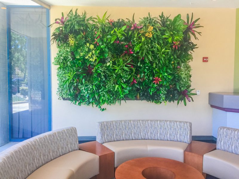 Live Walls - Greenleaf Interior Plant Solutions
