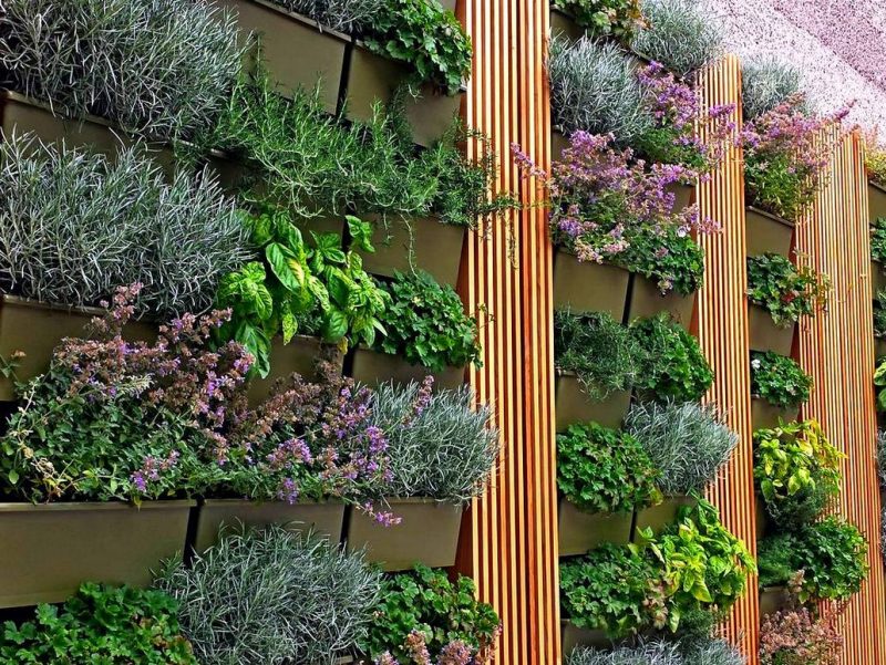 Live Walls - Greenleaf Interior Plant Solutions