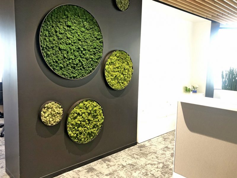 Booz Allen Hamilton - Greenleaf Interior Plant Solutions