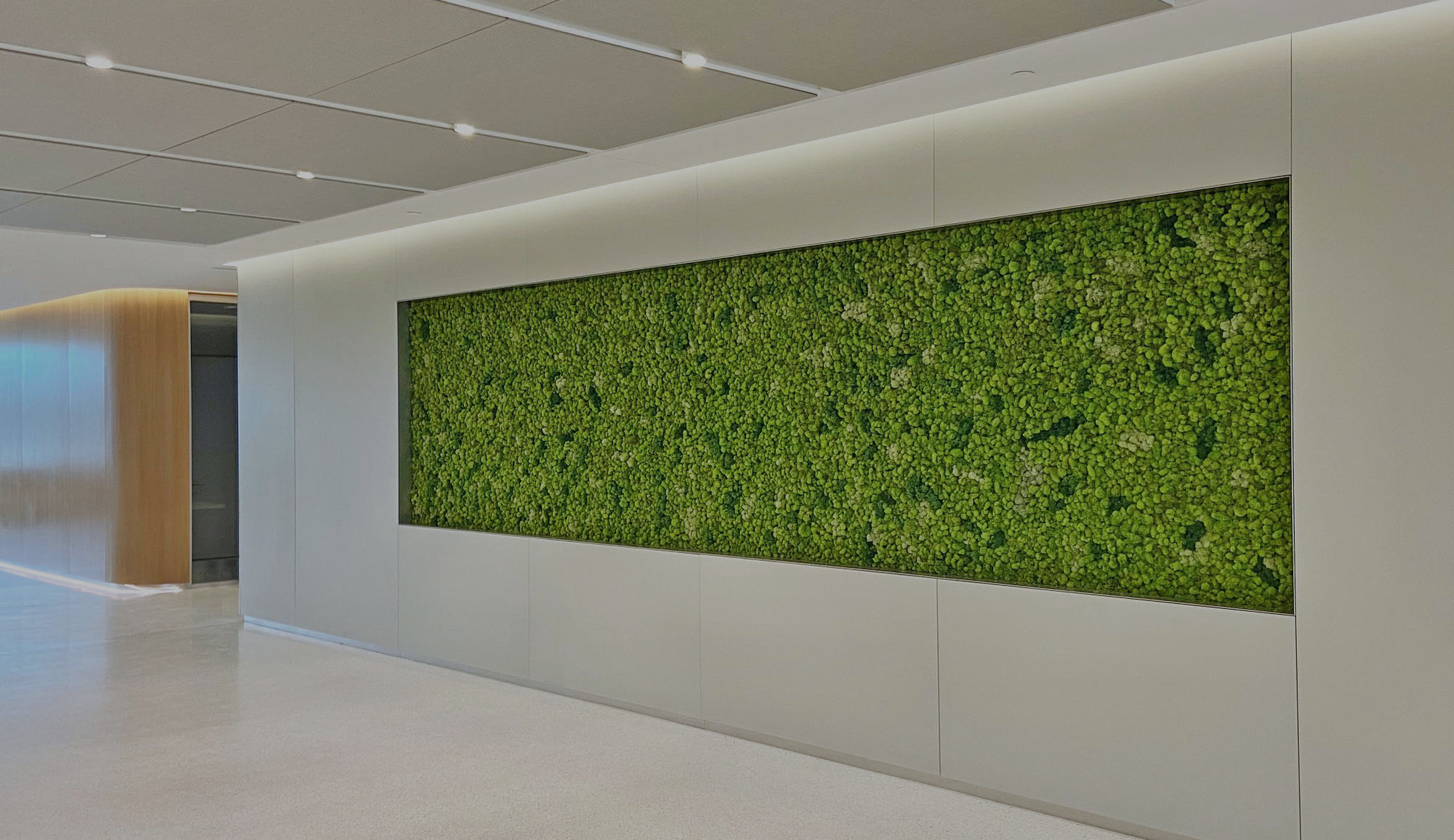 Home - Greenleaf Interior Plant Solutions