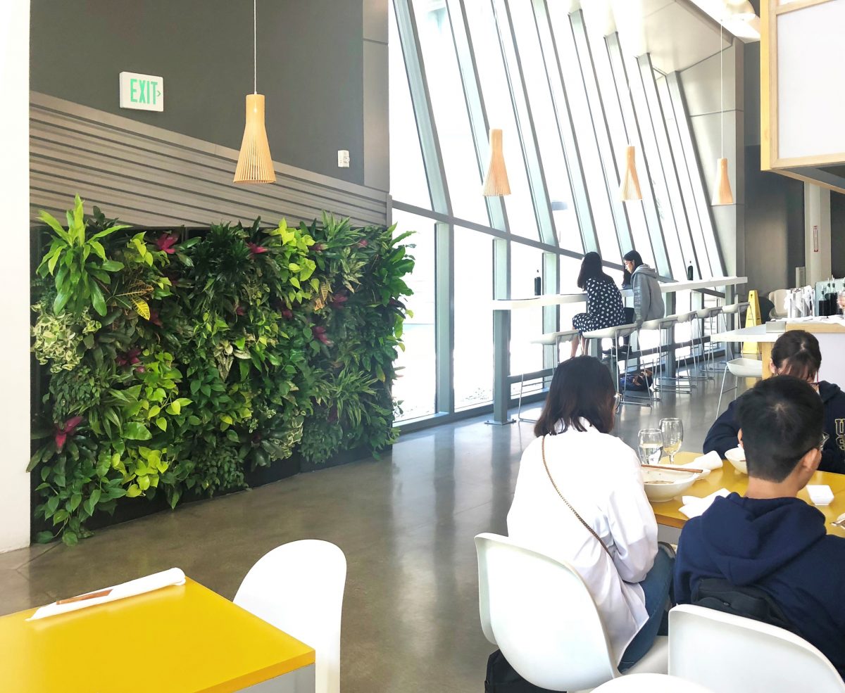 Plants That Will Make Your Restaurant More Pleasant for Customers