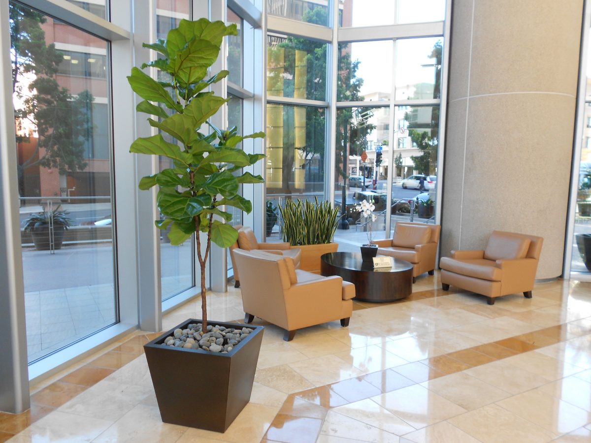 Office Design Trends for 2021: Bring Nature Inside - Greenleaf IPS - Blog