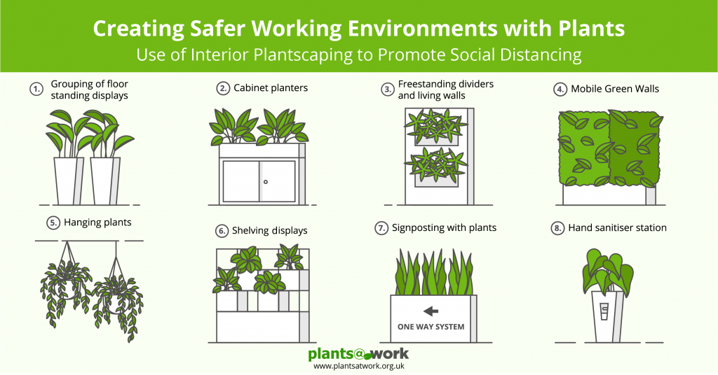 How Plantscaping Can Help Promote Social Distancing for Businesses
