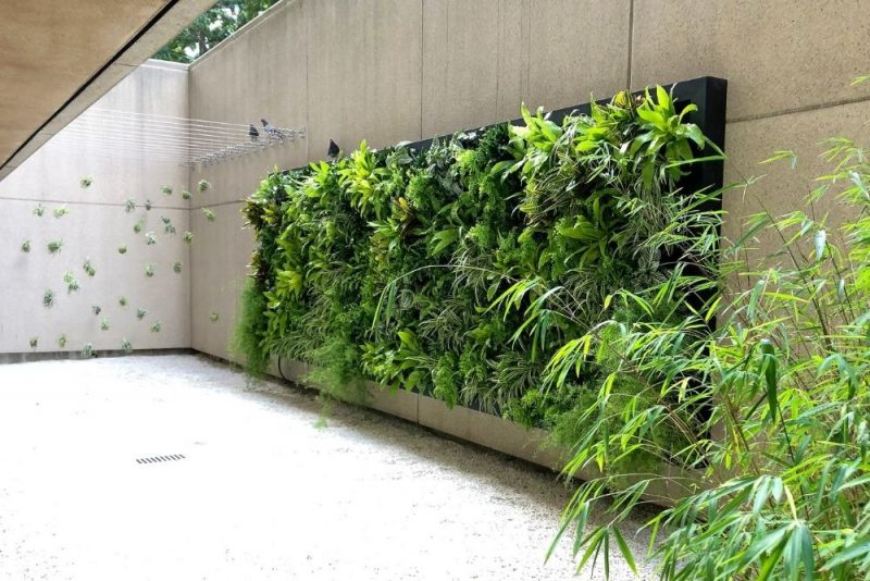 Everything You Need To Know About Green Walls - Greenleaf IPS