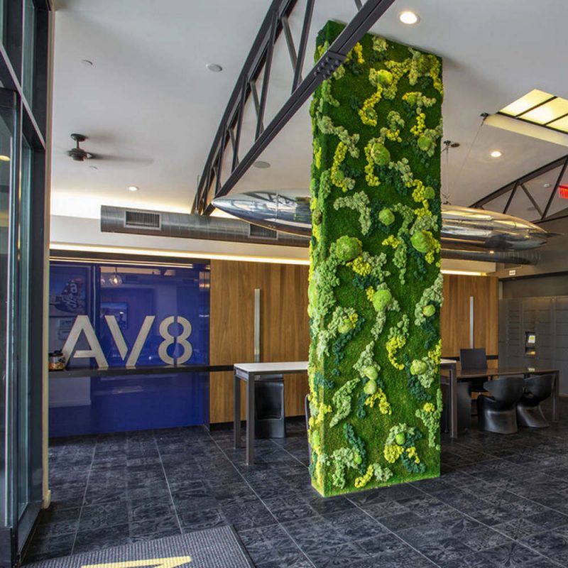 Recent Work - Greenleaf Interior Plant Solutions