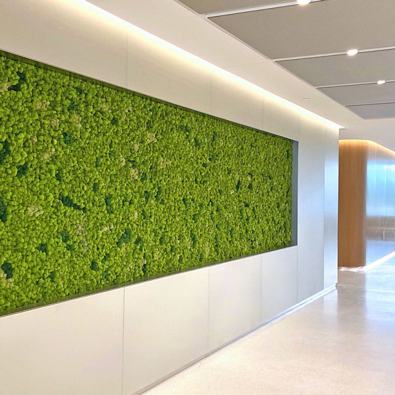 Recent Work - Greenleaf Interior Plant Solutions
