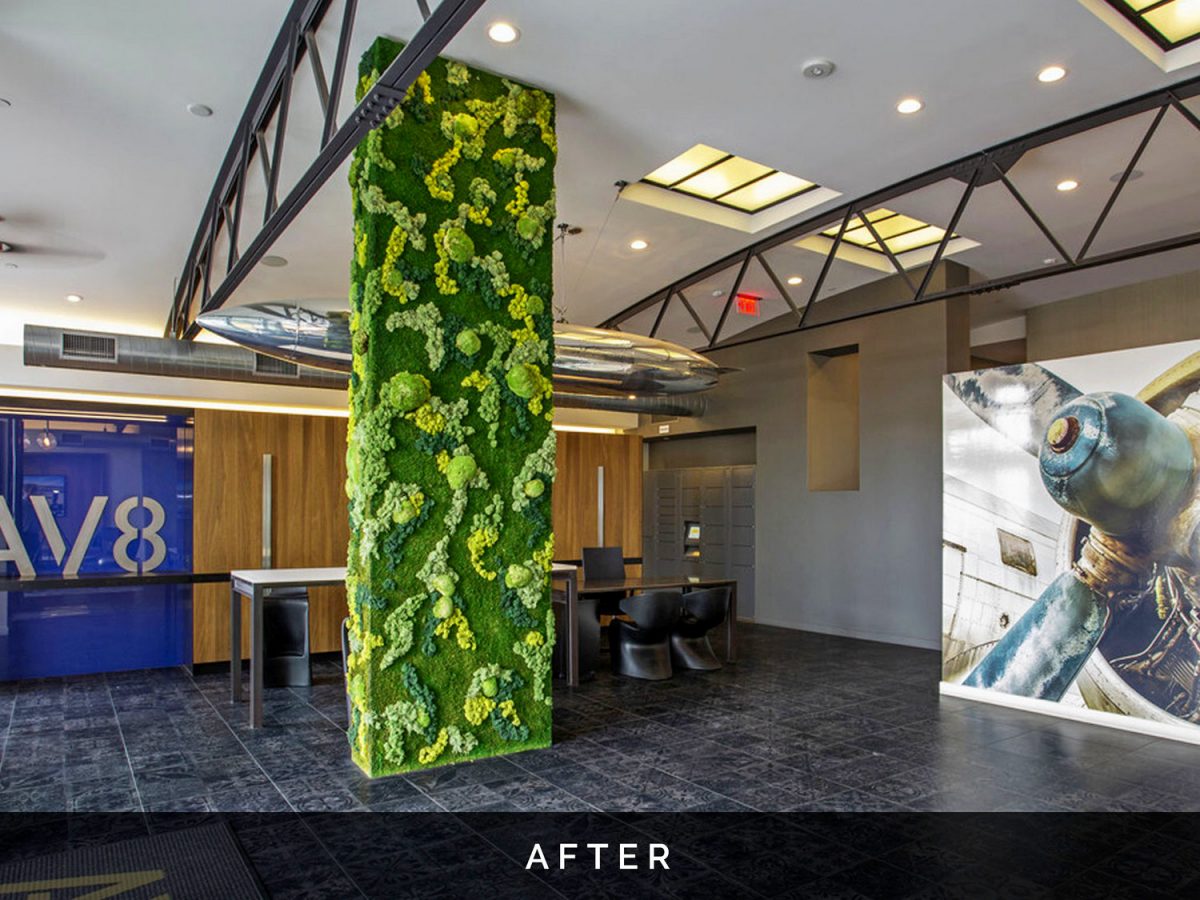 Preserved Moss Walls - Greenleaf Interior Plant Solutions