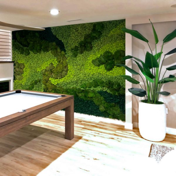 Recent Work - Greenleaf Interior Plant Solutions