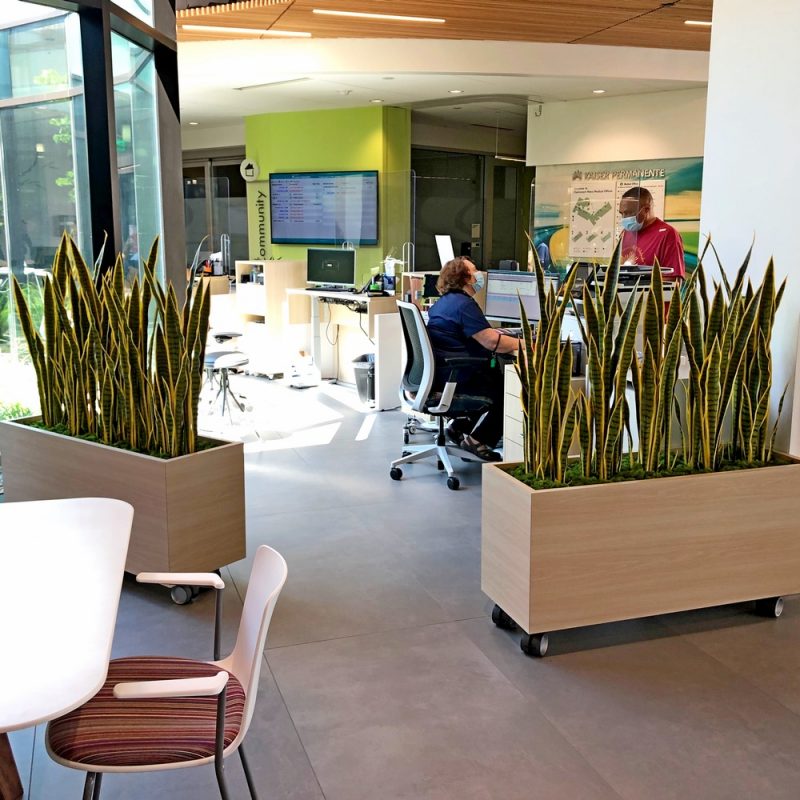 Recent Work - Greenleaf Interior Plant Solutions