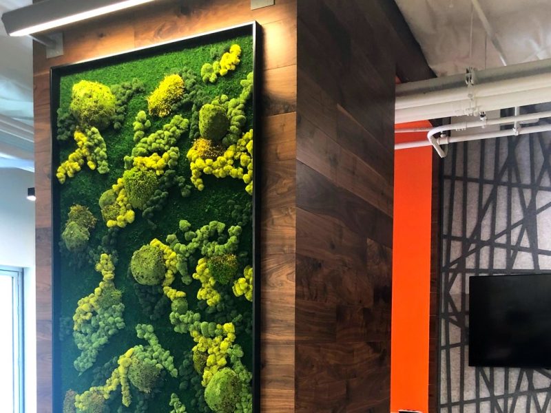 Moss Wall Art to Inspire your Next Project - Greenleaf IPS - Blog