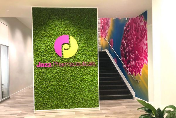 How to Integrate Biophilic Office Design Elements into Your Office Space