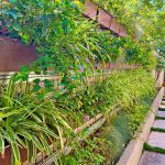 Plants Gallery - Greenleaf Interior Plant Solutions
