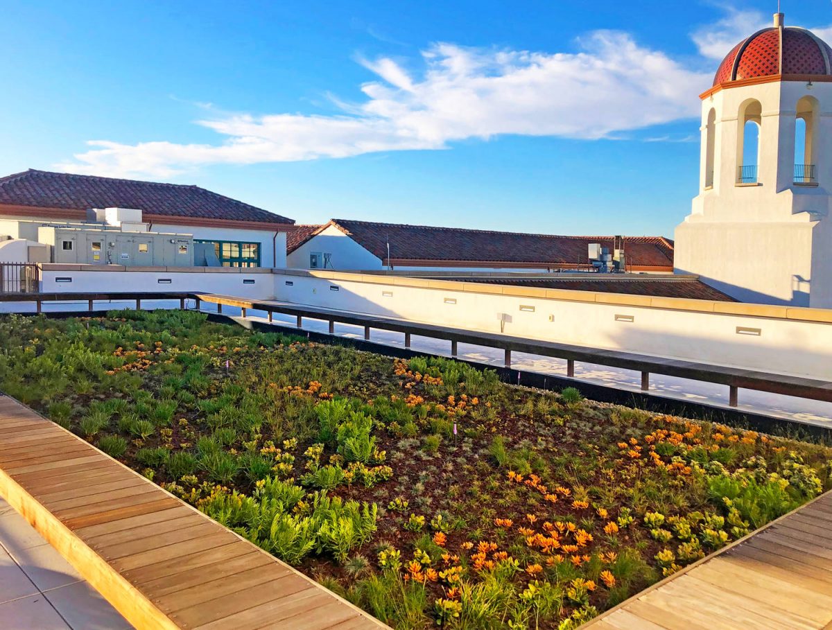 SDSU –Live Roof - Greenleaf Interior Plant Solutions