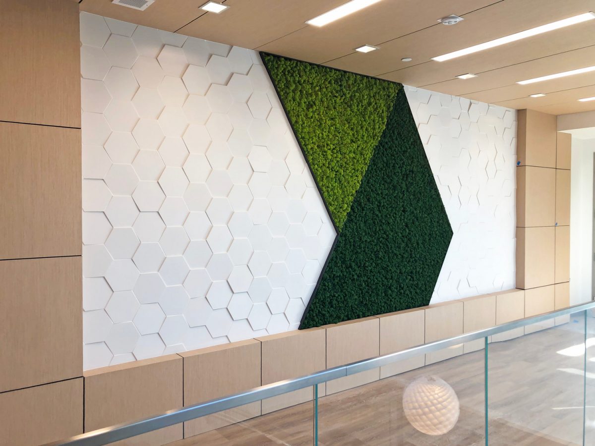 Zentalis - Greenleaf Interior Plant Solutions