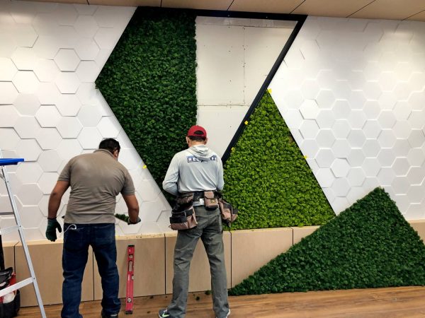 Zentalis - Greenleaf Interior Plant Solutions