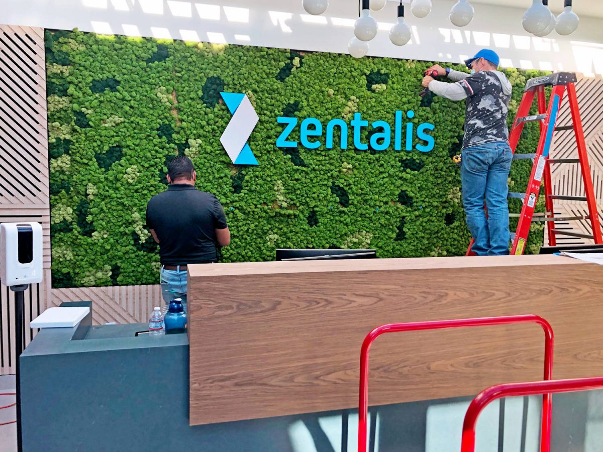 Zentalis - Greenleaf Interior Plant Solutions