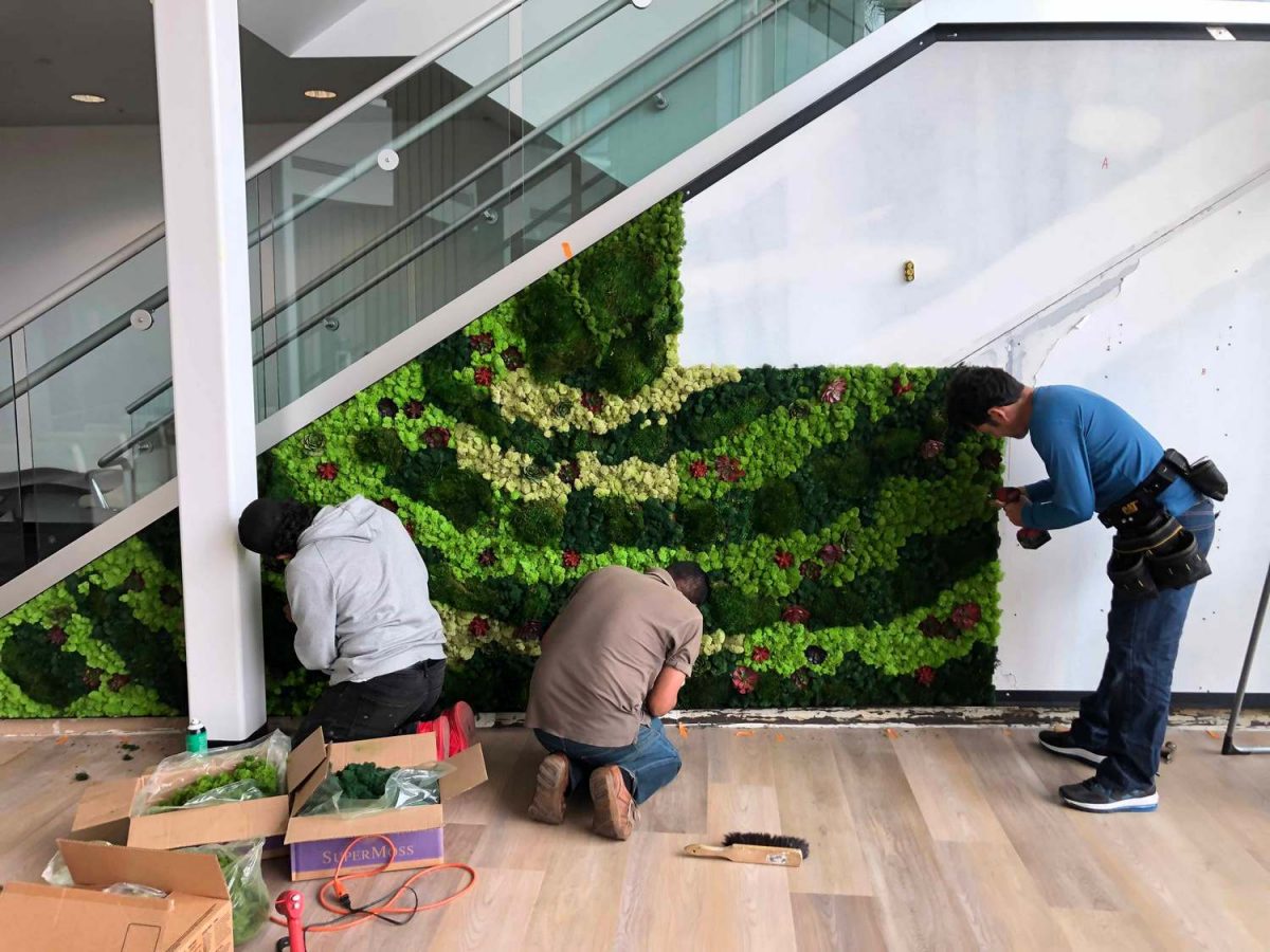 JLL Romeo Power - Greenleaf Interior Plant Solutions