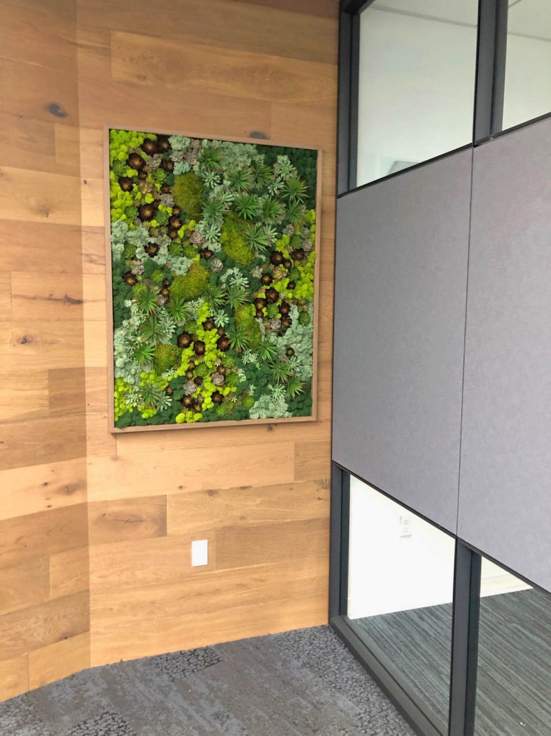 ResMed - Greenleaf Interior Plant Solutions