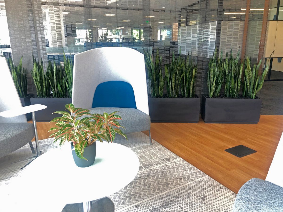 ResMed - Greenleaf Interior Plant Solutions