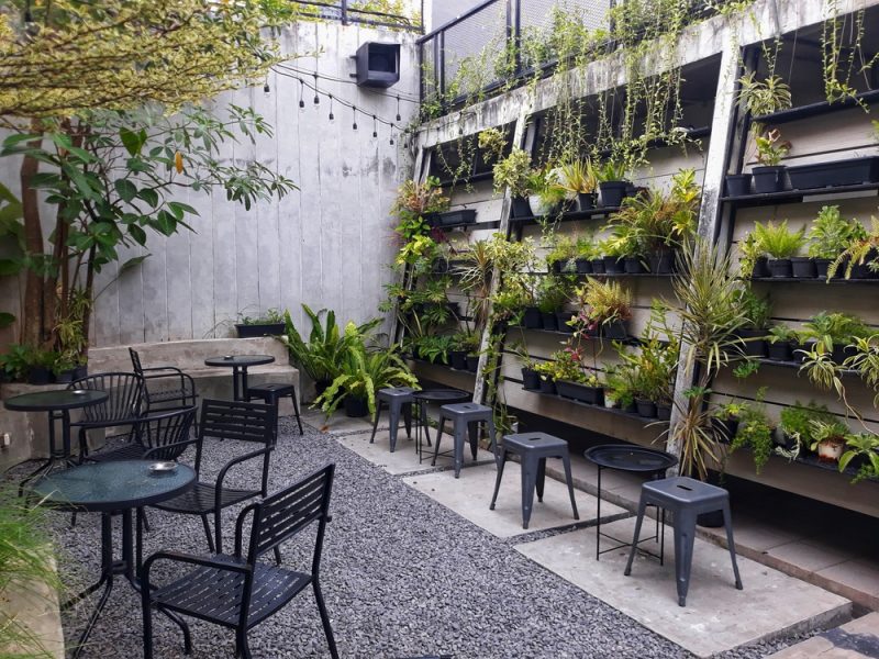 5 Best Plants for Restaurants ｜Greenleaf IPS