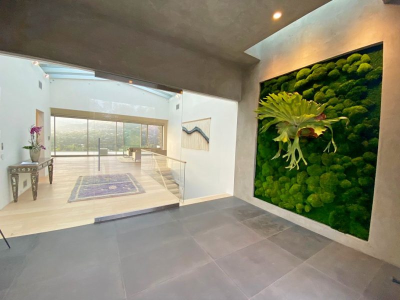 Preserved Moss Walls - Greenleaf Interior Plant Solutions