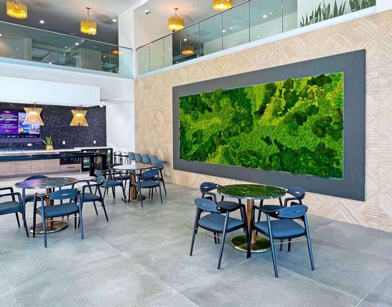 The Ultimate Guide for Moss Walls 2021 - Greenleaf IPS - Blog