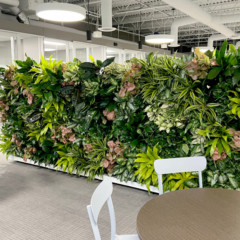 Recent Work - Greenleaf Interior Plant Solutions