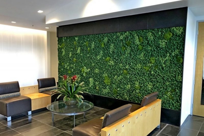 Who Installs Living Walls in San Diego? Greenleaf IPS.