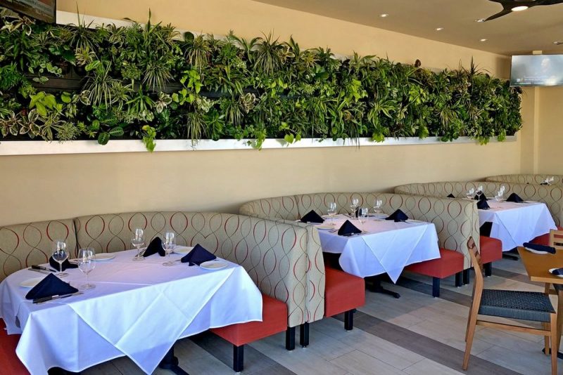 Who Installs Living Walls in San Diego? Greenleaf IPS.