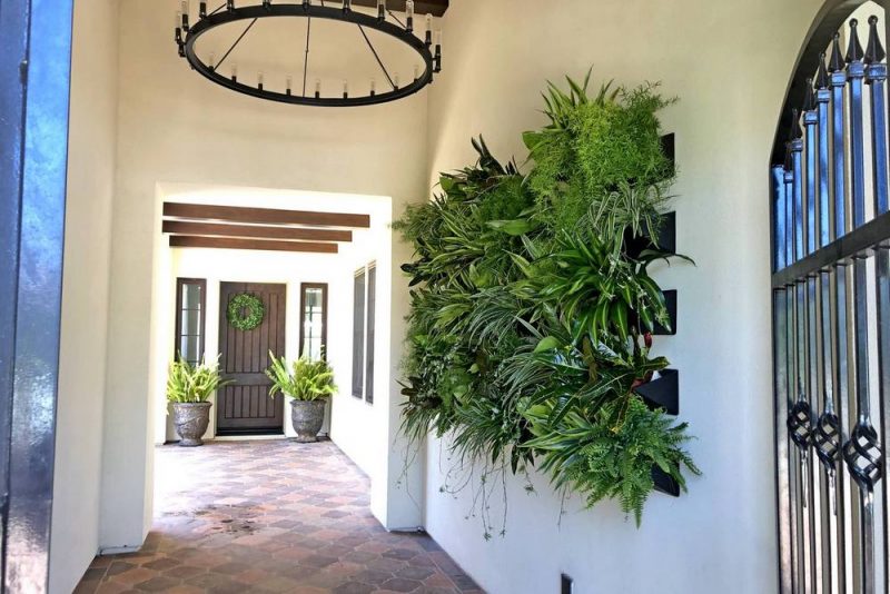 Who Installs Living Walls in San Diego? Greenleaf IPS.