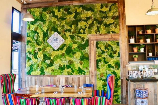 Who Installs Living Walls in San Diego? Greenleaf IPS.