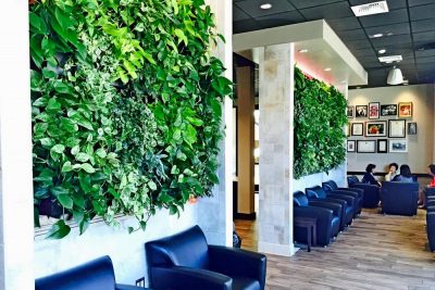 Who Installs Living Walls in San Diego? Greenleaf IPS.